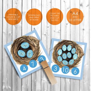Bird Nests Count and Clip Number Flash Cards for Subitising and Fine ...