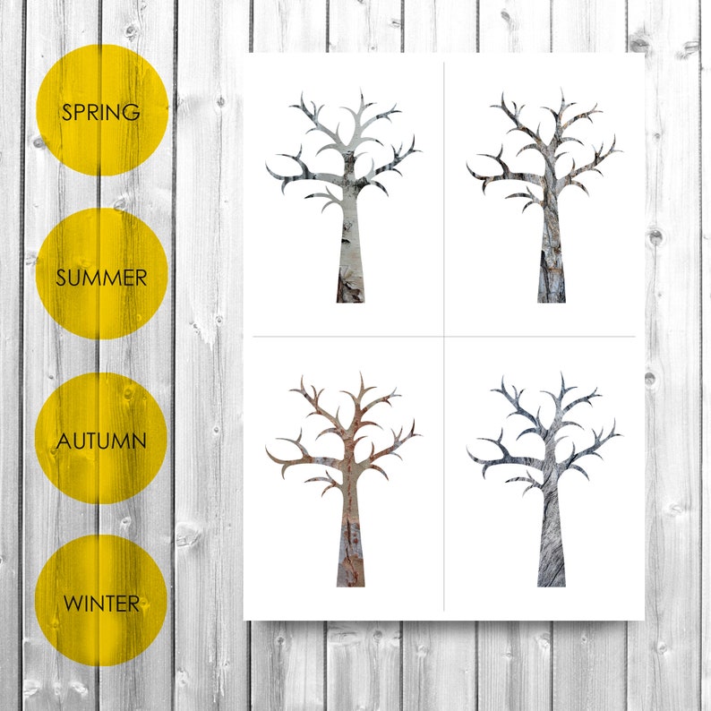 Blossom Tree Craft , Nature Tree Silhouette Art Activity, Fine Motor ...