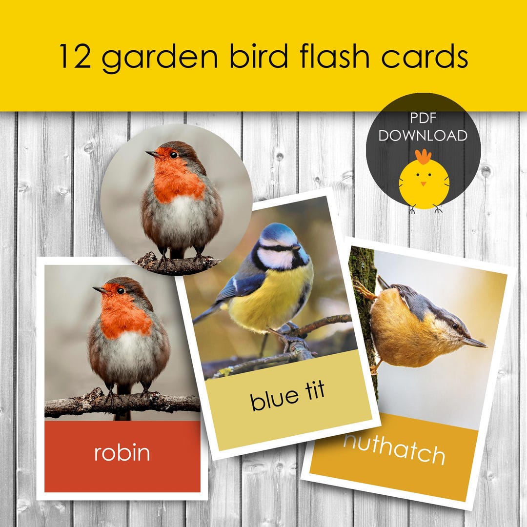 Garden Bird Flash Cards | Nature Flashcards | Spring Activity | Summer ...