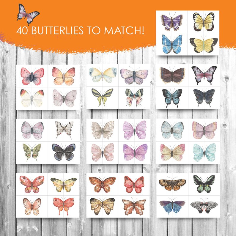 Butterfly Symmetry Matching Game | Nature Matching Activity for Kids ...