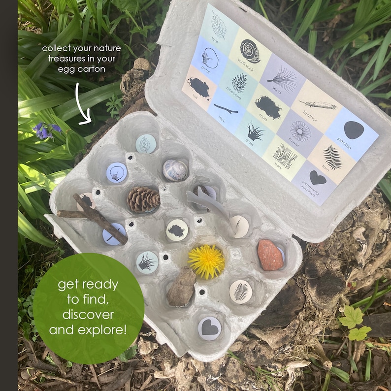 Egg Carton Scavenger Hunt Bundle for Outdoor Nature Activities for Kids ...
