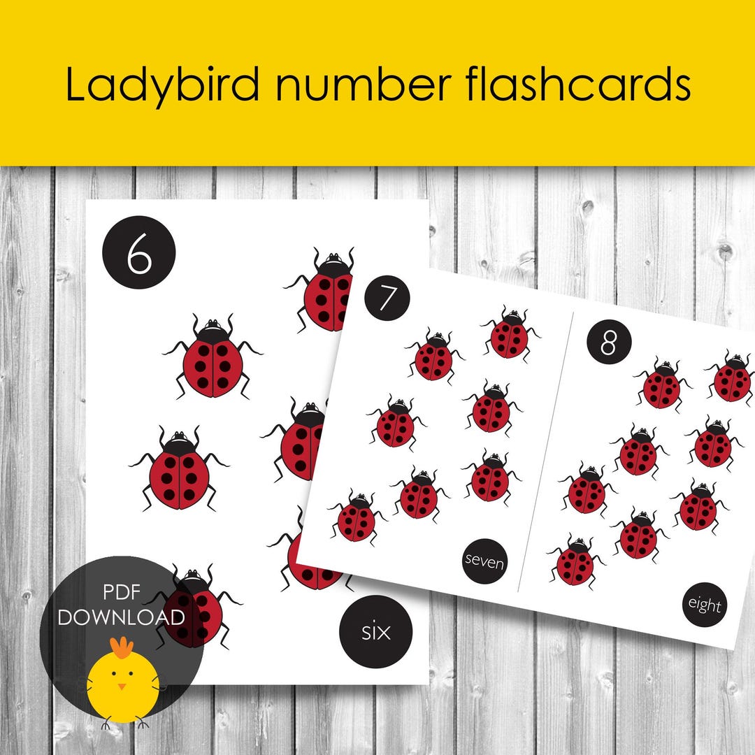 Ladybird Number Flash Cards and Classroom Decor for Preschool Counting ...