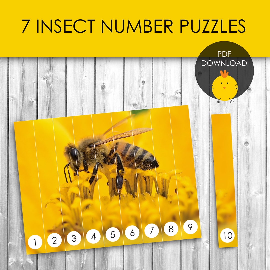 Insect and Minibeast Number Counting Puzzles for Preschool Maths - Etsy