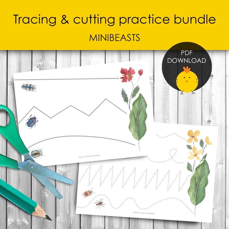 Mini Beast Line Tracing Worksheets | Mini Beast Scissor Skills | Nature Activity for Kids ...