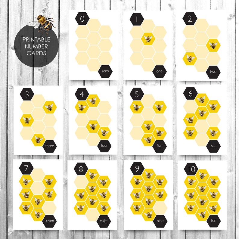 Bee Number Flash Cards for Preschool Maths Activity and Classroom ...