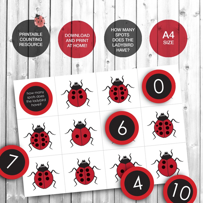 Ladybird Count and Cover Game: Early Years Maths (PDF Pattern) - Etsy