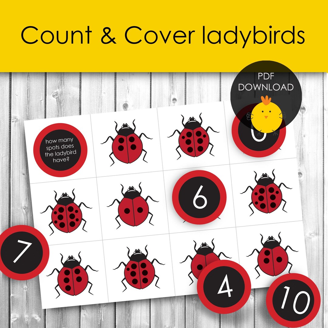 Number Flash Cards Number Counting Early Years Maths Counting Flash ...