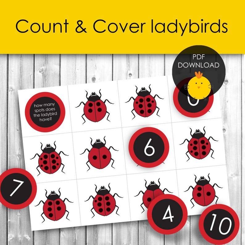 Number Flash Cards Number Counting Early Years Maths Counting Flash ...