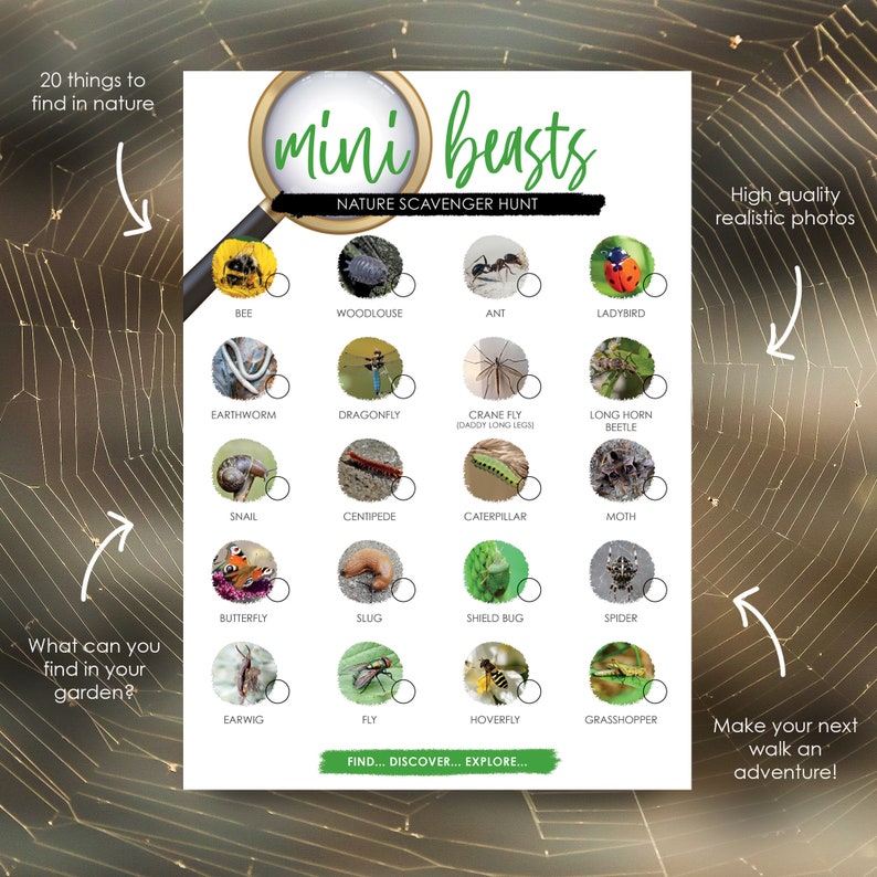 Mini Beasts Scavenger Hunt | Outdoor Activities for Kids | Bug Hunt Activity | Outdoor Learning ...