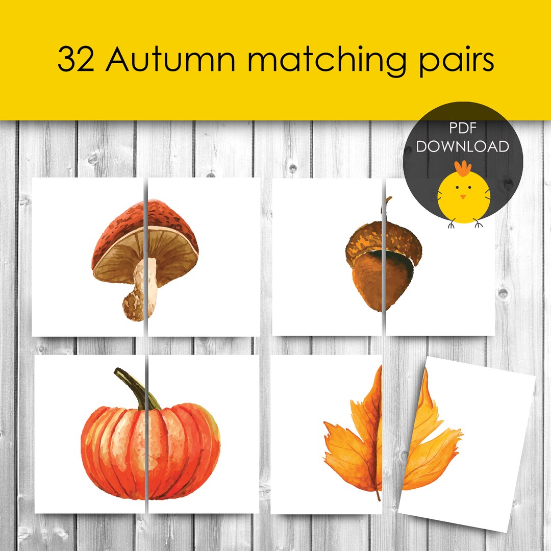 Autumn Symmetry Matching Game | Nature Matching Activity for Kids ...