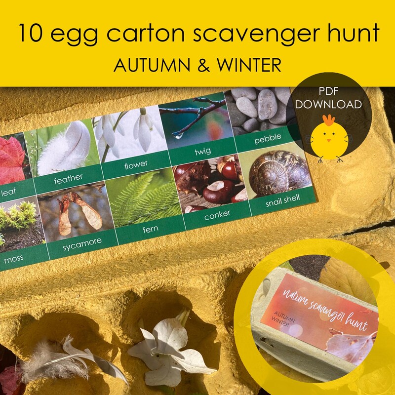Egg Carton Scavenger - Etsy