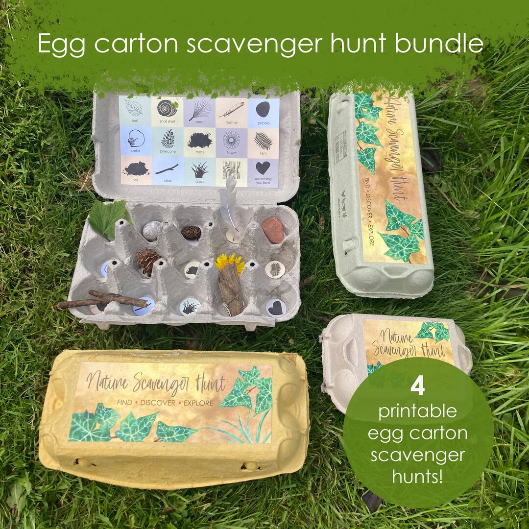 Egg Carton Scavenger Hunt Outdoor Activities for Kids Outdoor Toy ...