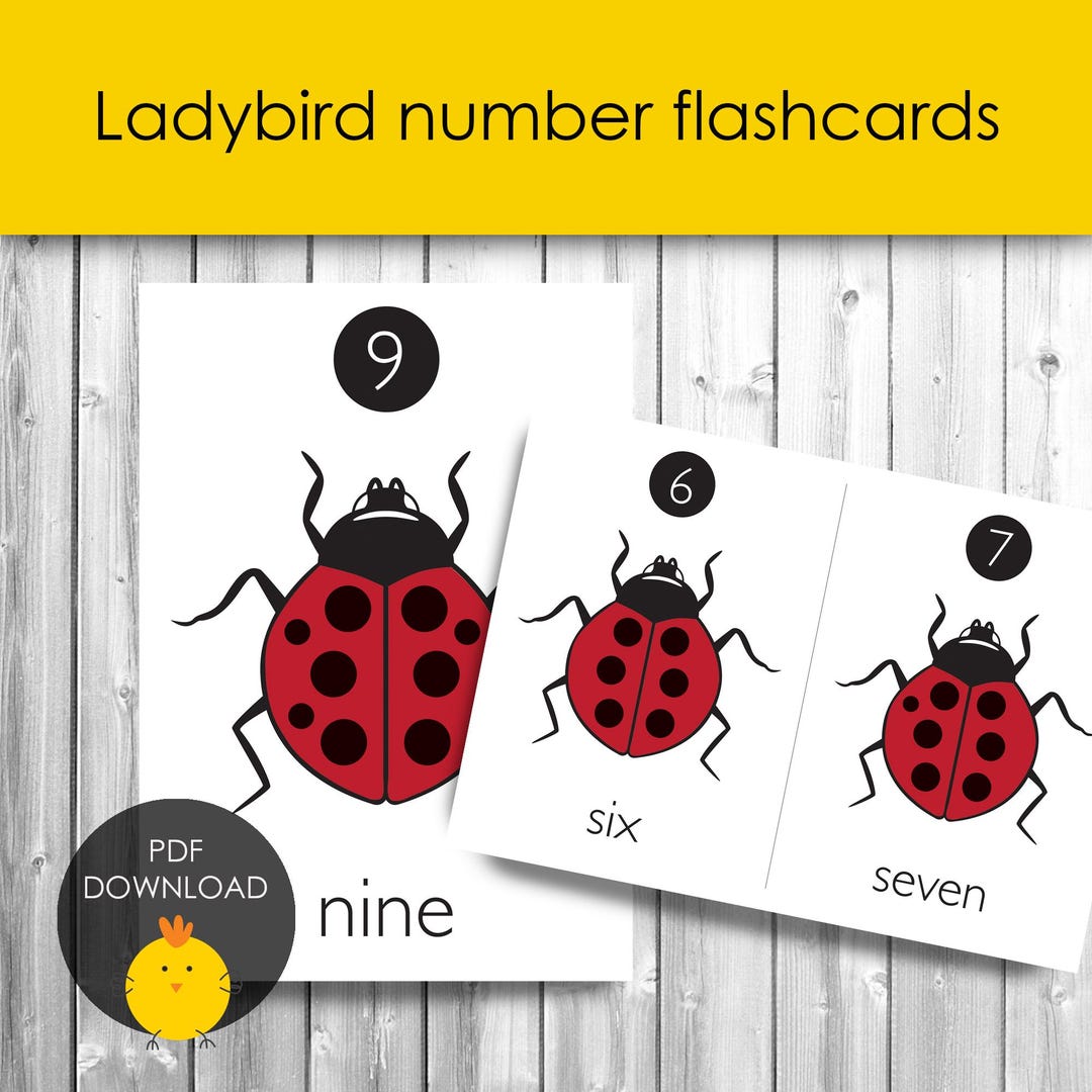 Ladybird Number Recognition Flashcards and Classroom Display - Etsy