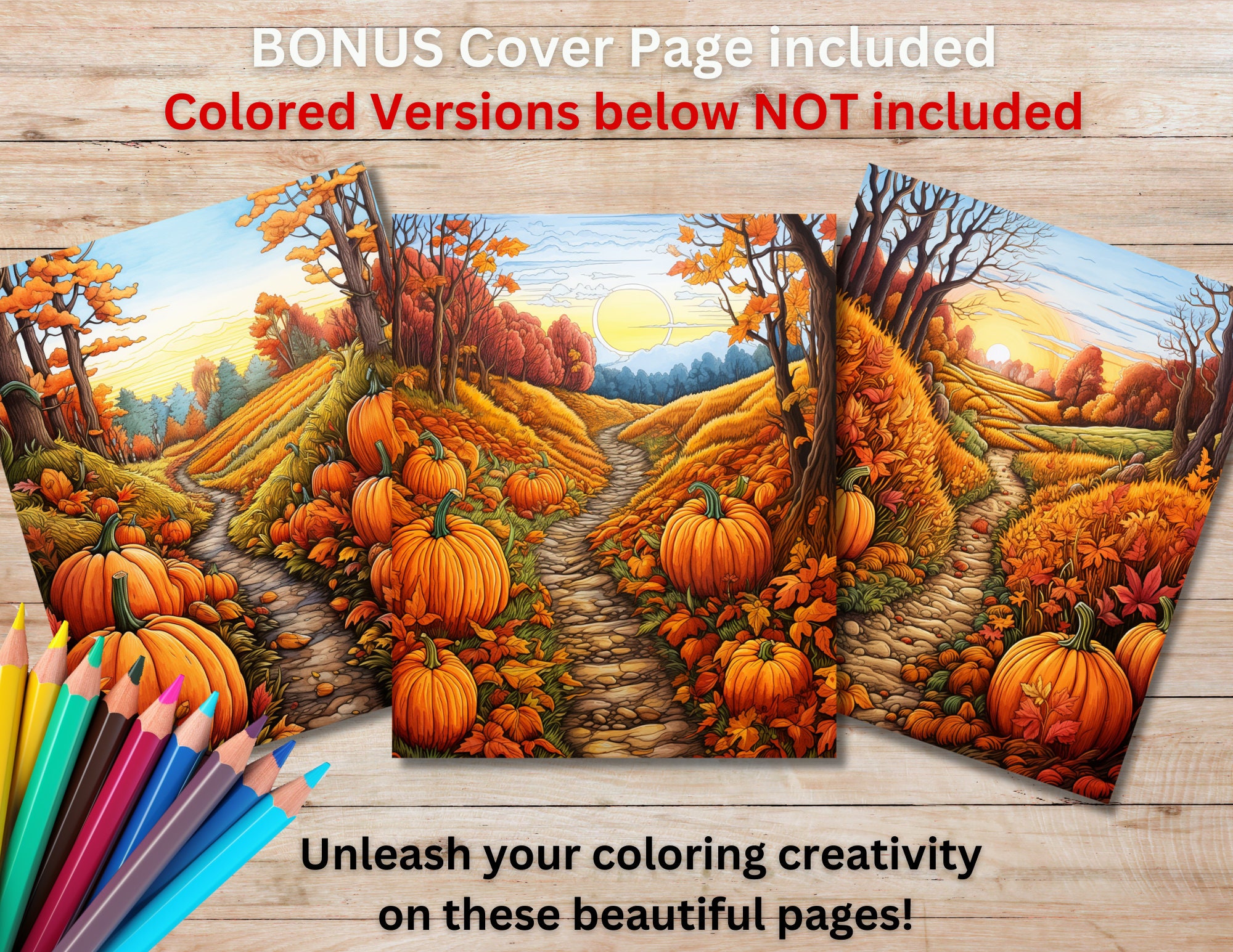 Autumn Harvest Coloring Pages Pumpkin Patches Coloring Pages Adult ...