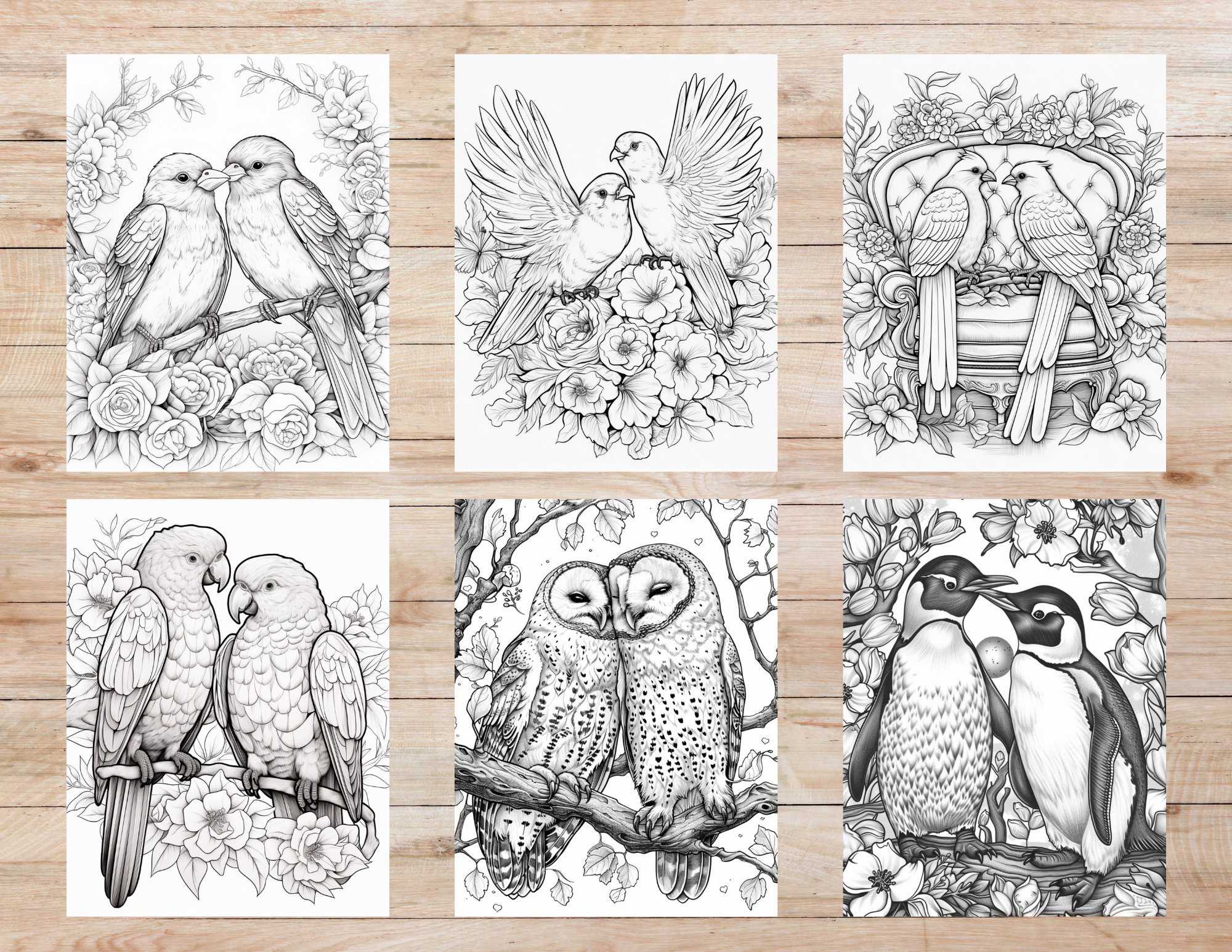 Love Birds Coloring Pages Valentines Day February Coloring Pages Adult ...