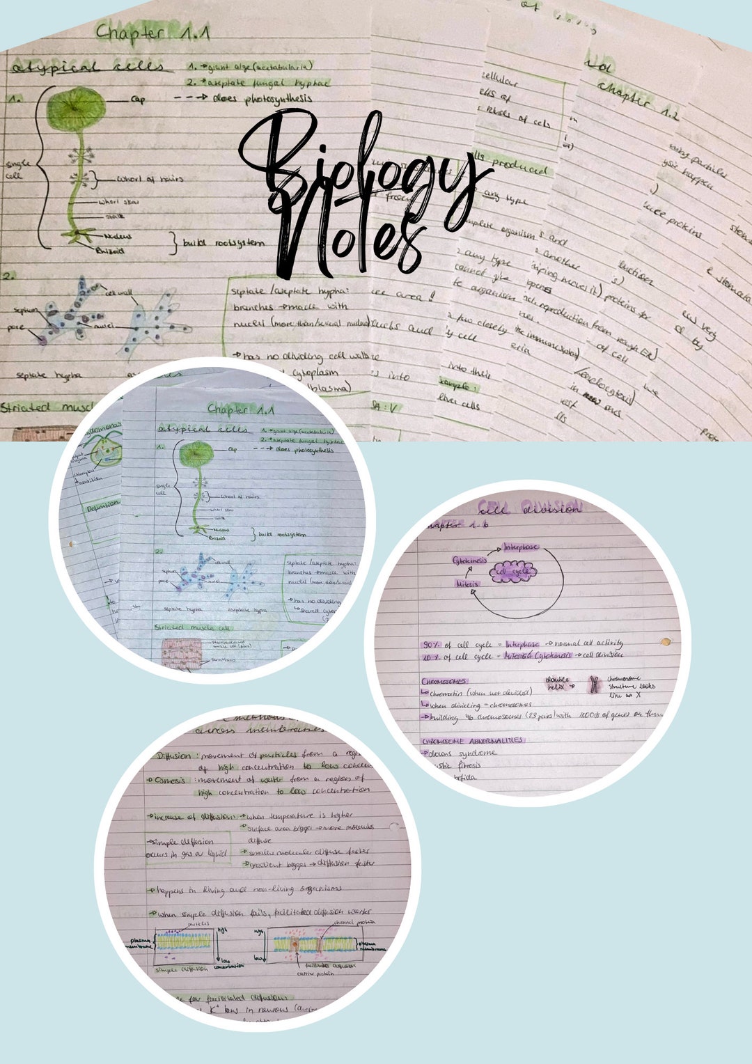 IBDP Biology Notes Chapter 1 (cell Biology) - Etsy