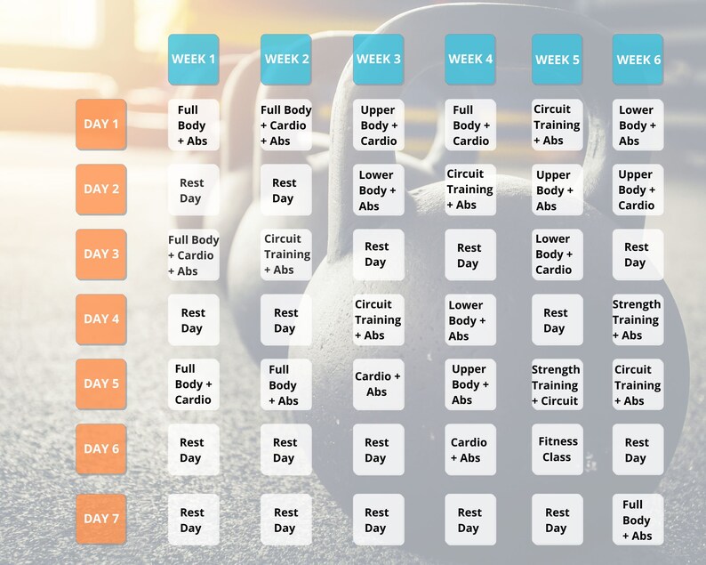 Complete 6 Weeks Beginner Gym Program, Easy to Follow Step-by-step ...