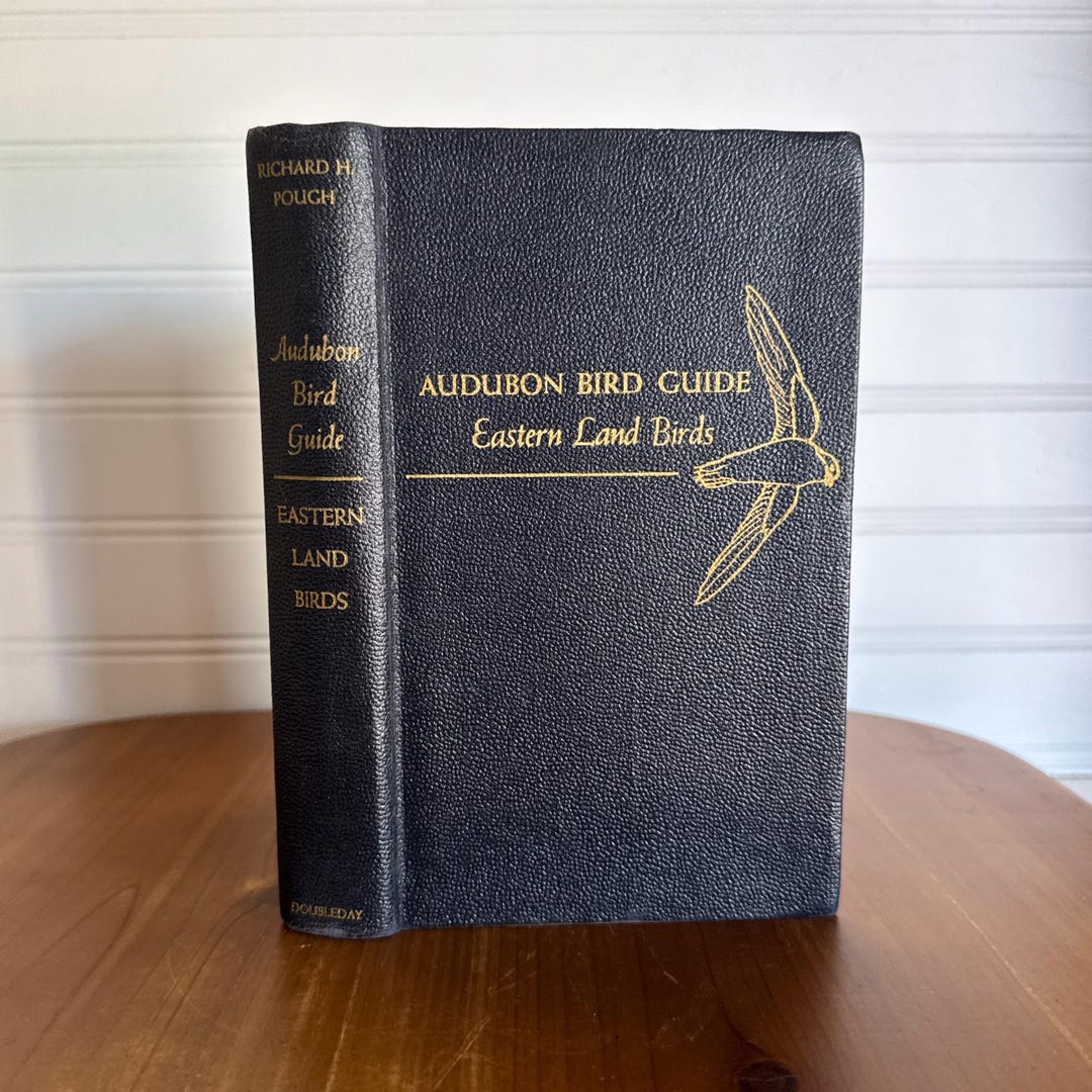 First Edition 1946 Audubon Bird Guide - Eastern Land Birds - Etsy