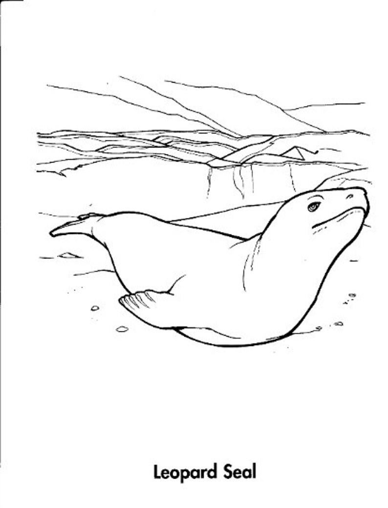 90+ Pages Wildlife Wonders Coloring Pages| Coloring Book| Kids ...