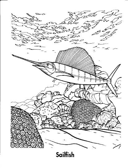 90 Pages Wildlife Wonders Coloring Pages Coloring Book Kids Colouring ...