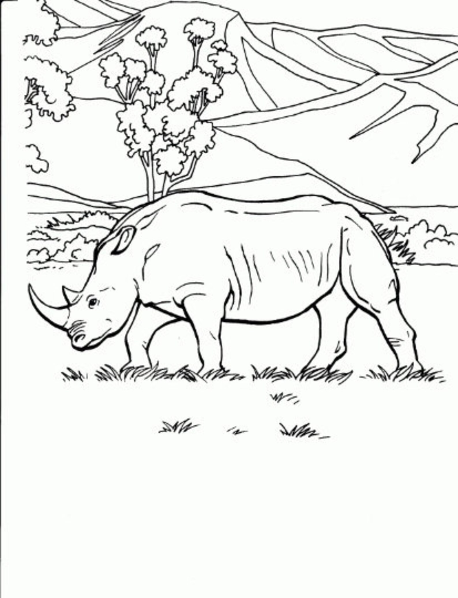 90+ Pages Wildlife Wonders Coloring Pages| Coloring Book| Kids ...