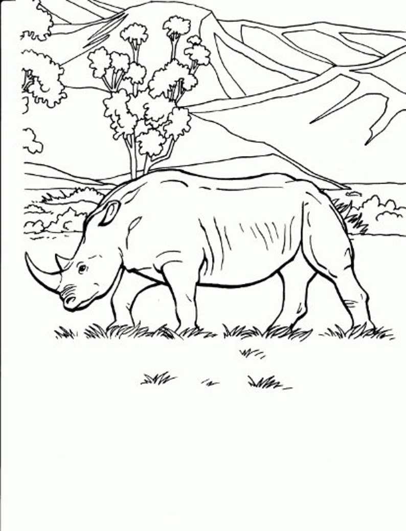 90+ Pages Wildlife Wonders Coloring Pages| Coloring Book| Kids ...