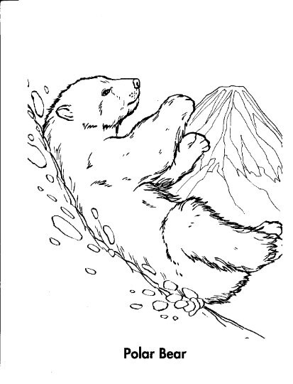 90 Pages Wildlife Wonders Coloring Pages Coloring Book Kids Colouring ...