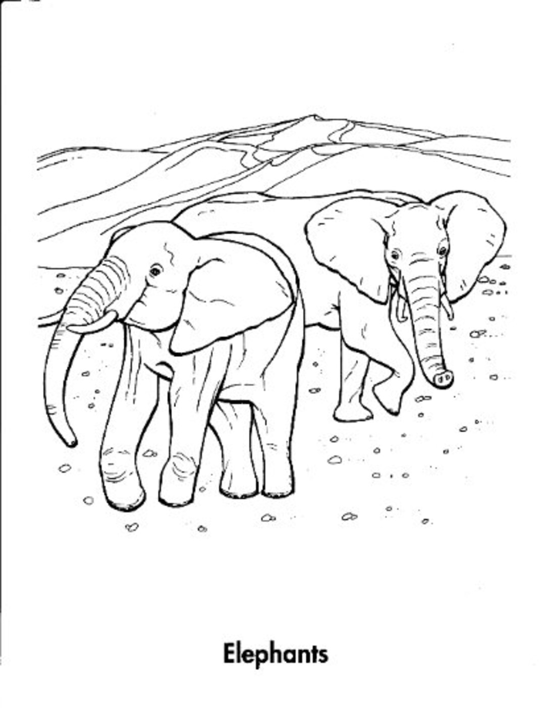 90+ Pages Wildlife Wonders Coloring Pages| Coloring Book| Kids ...