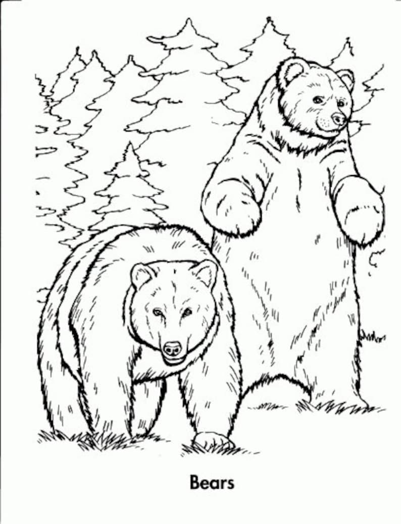 90 Pages Wildlife Wonders Coloring Pages Coloring Book Kids Colouring ...