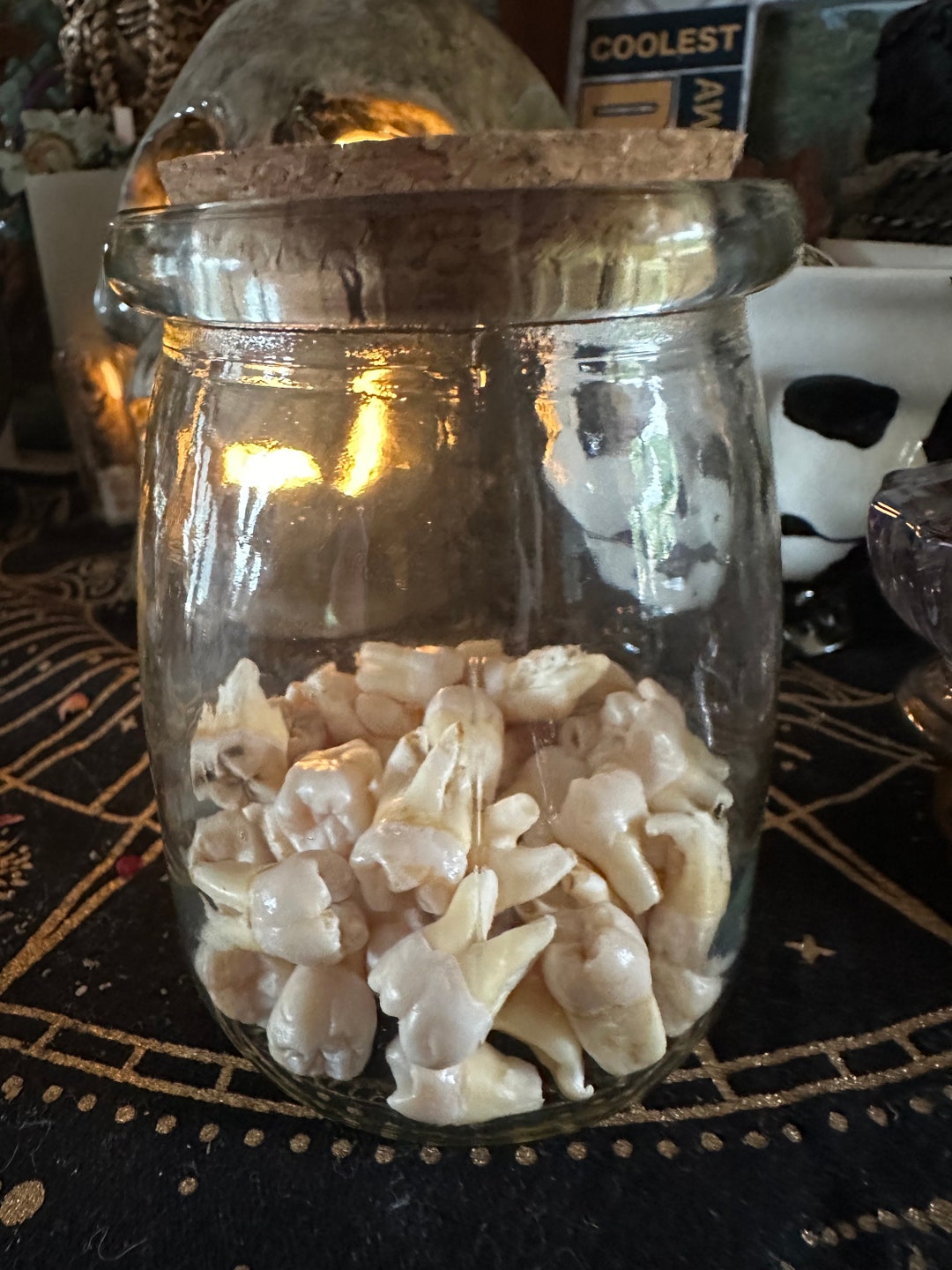 10 Real Human Teeth (molars, Premolars, & Eye Teeth, Front Teeth and ...