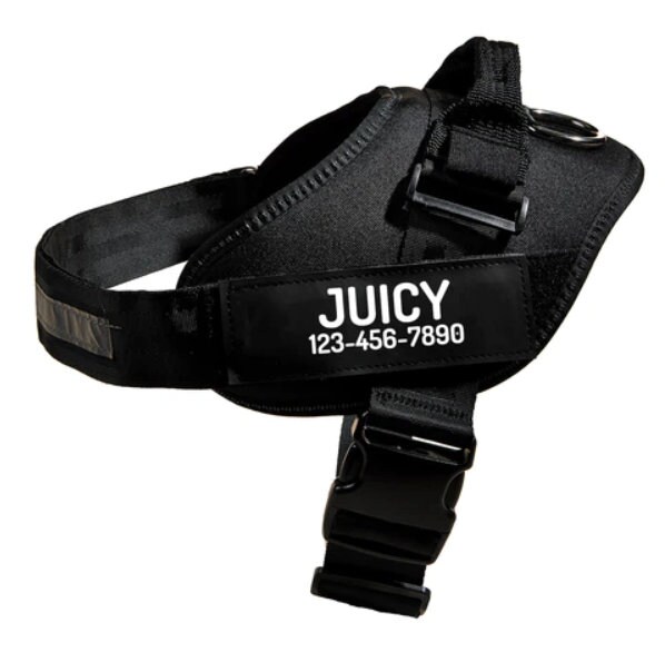 Personalized Reflective Dog Harness: Custom Name, No-pull Design - Etsy