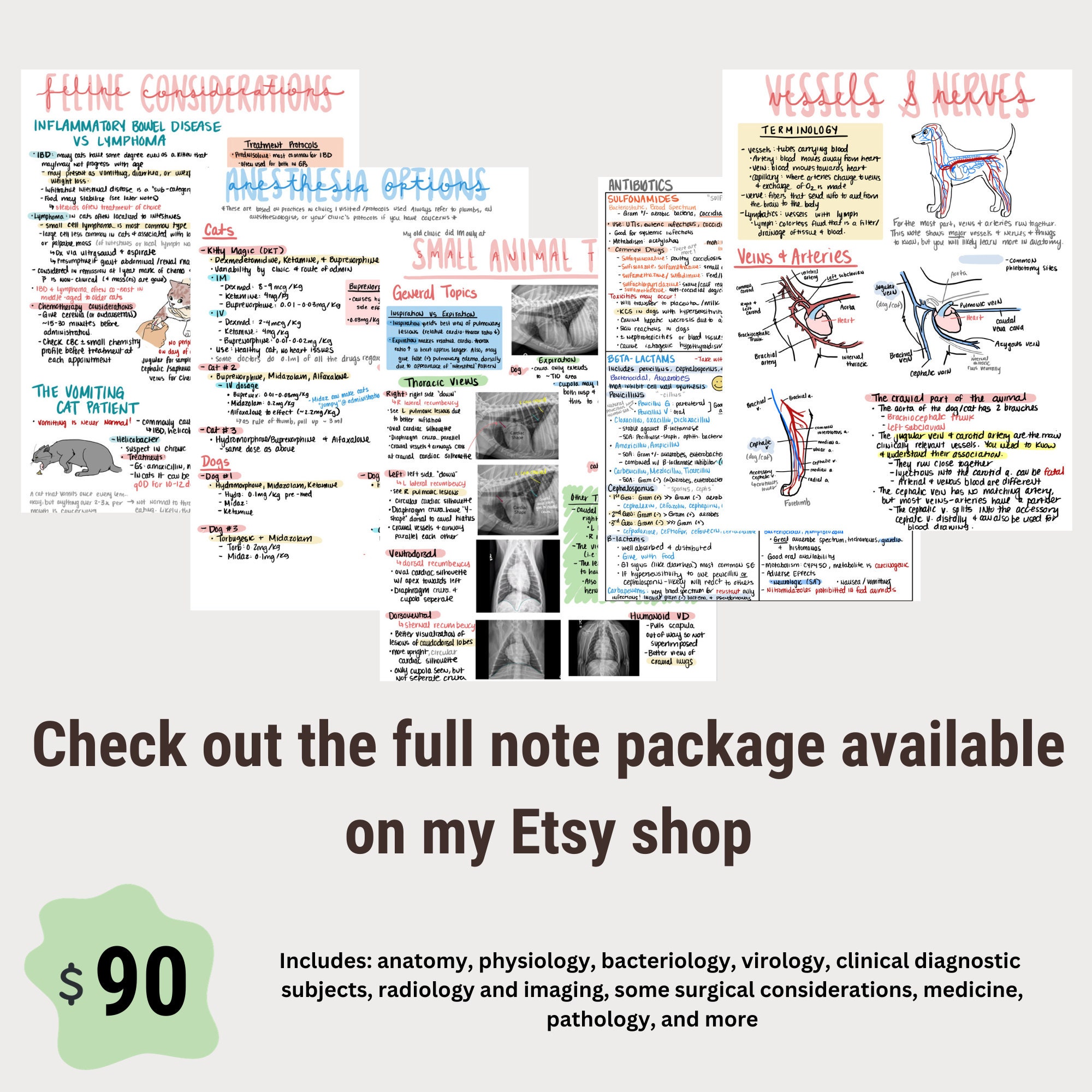 Veterinary NAVLE and Clinical Practice Notes - Etsy Veterinary NAVLE and Clinical Practice Notes - Etsy