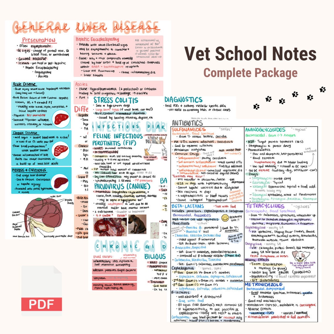 Complete Veterinary School Note Package - Etsy