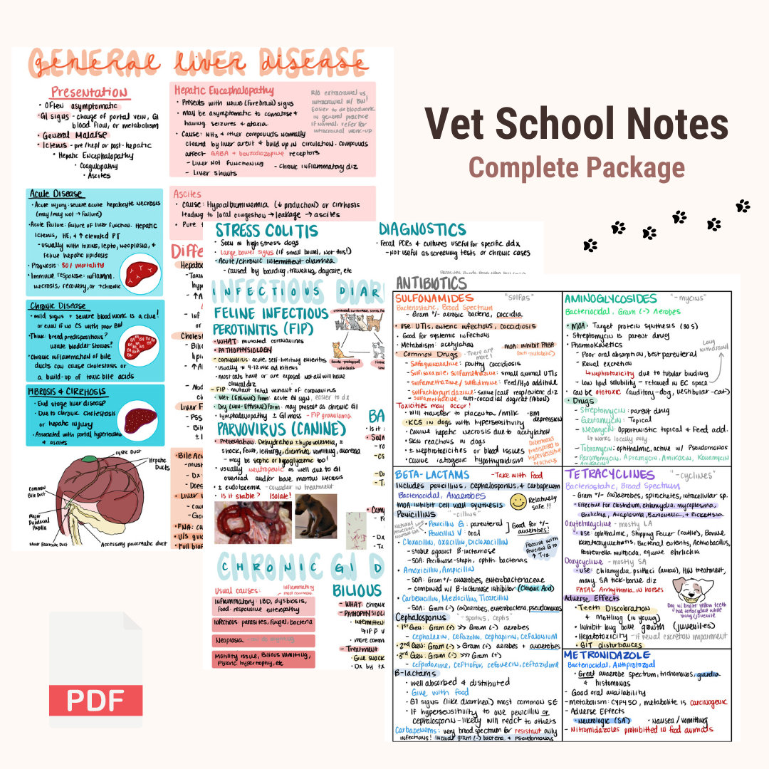 Complete Veterinary School Note Package - Etsy