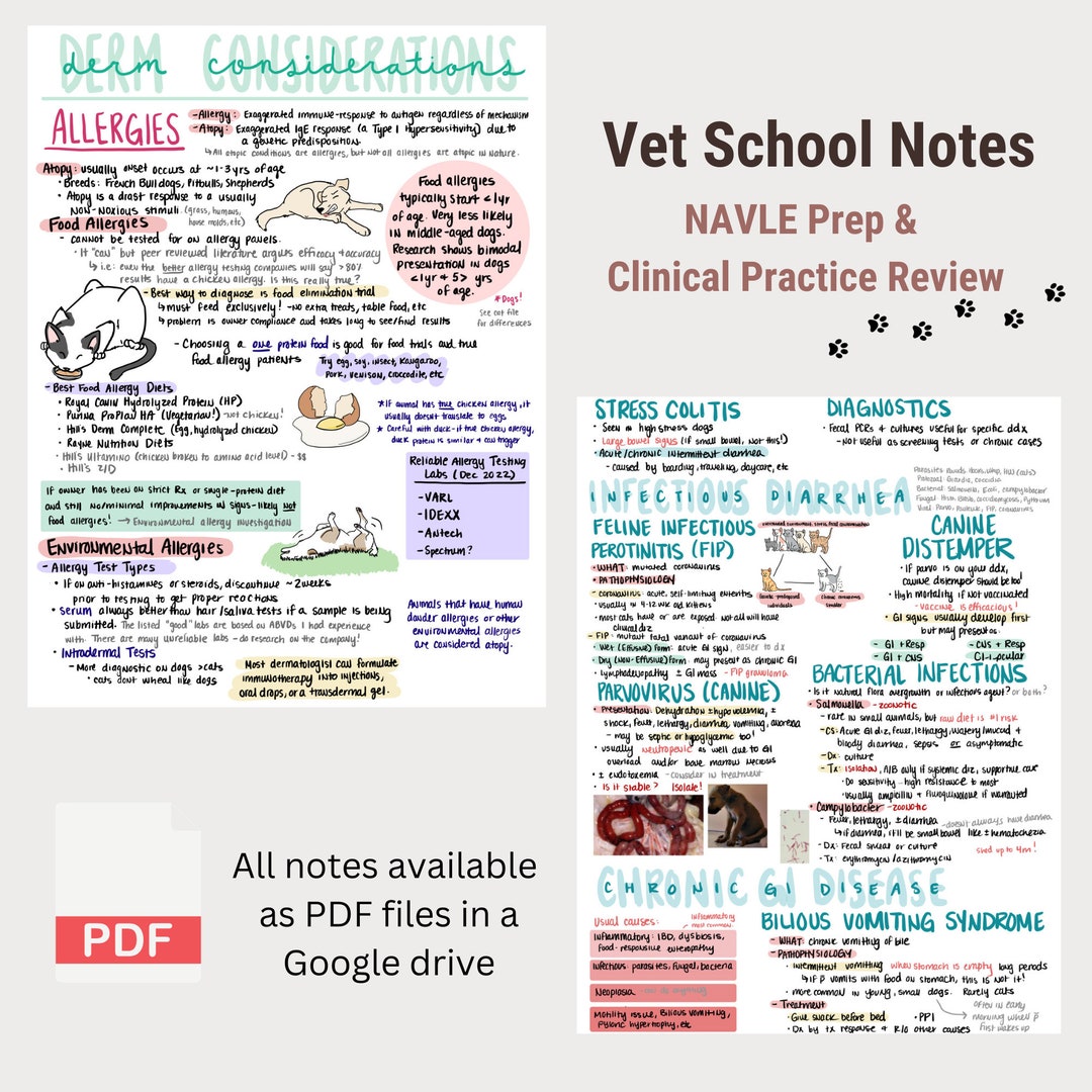 Veterinary NAVLE and Clinical Practice Notes - Etsy
