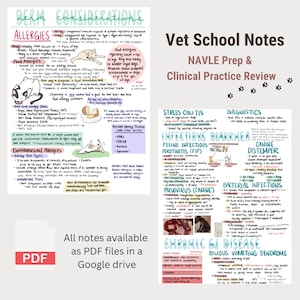 Veterinary NAVLE and Clinical Practice Notes - Etsy UK