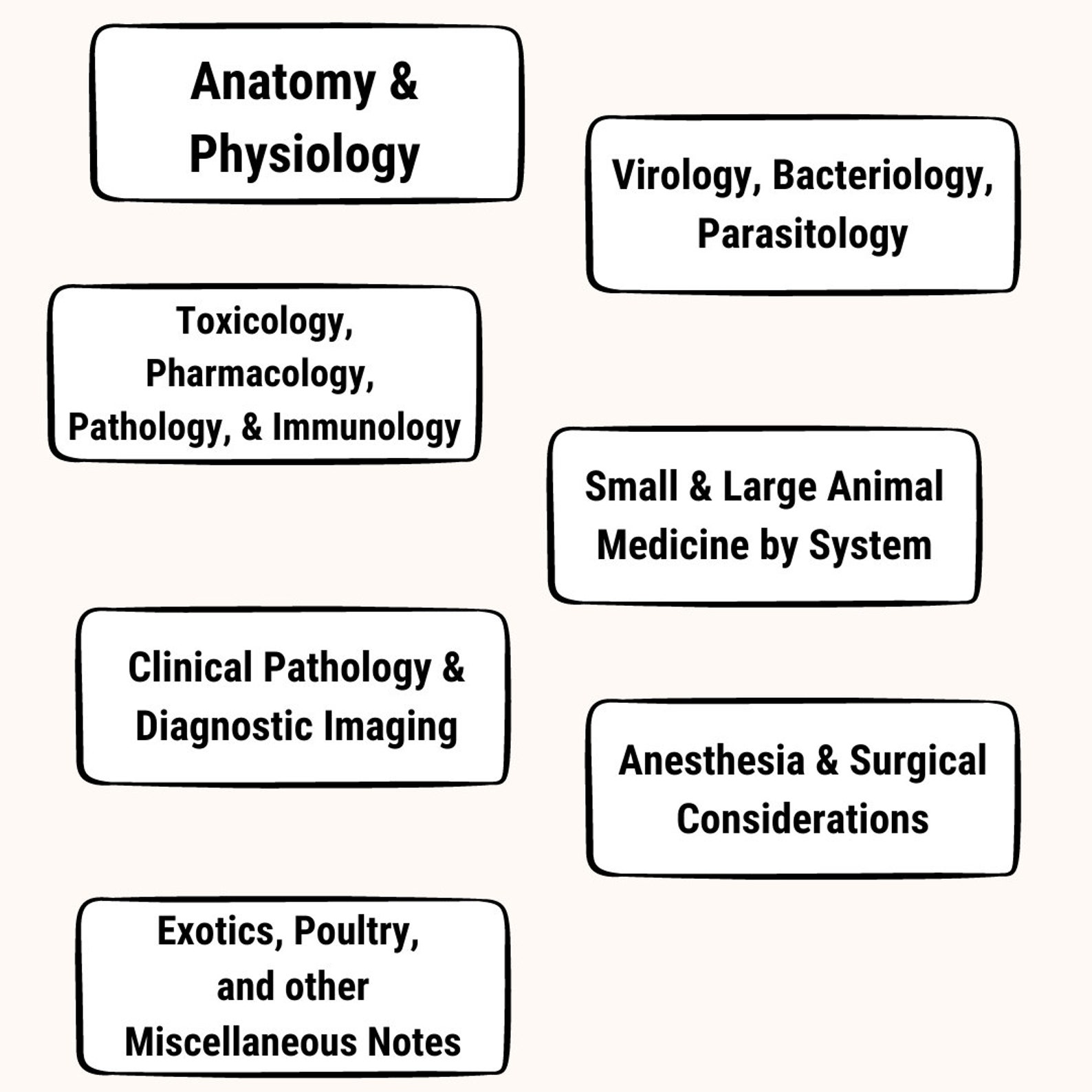 Complete Veterinary School Note Package - Etsy