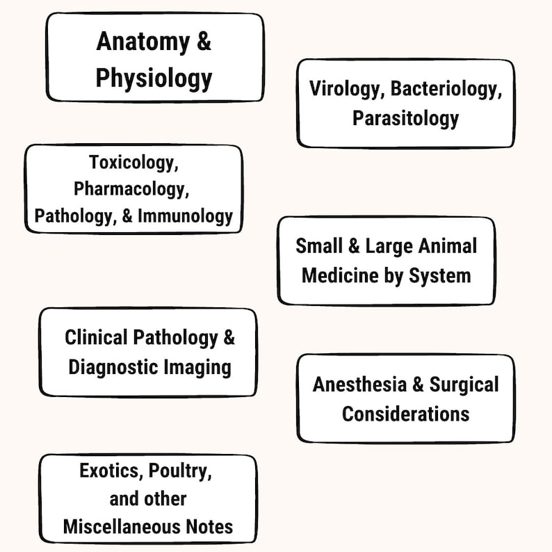 Complete Veterinary School Note Package - Etsy