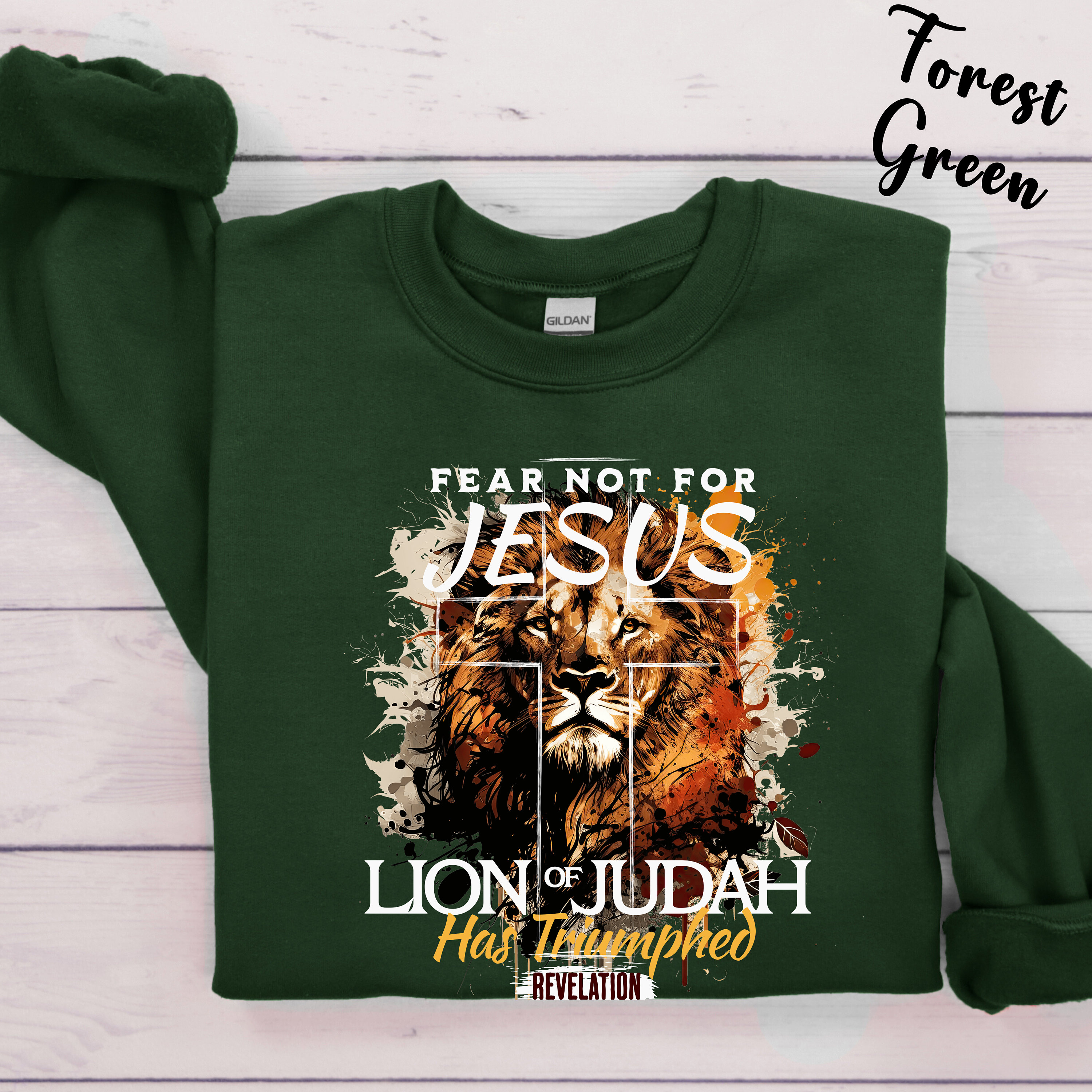 Lion of Judah Christianity Clothes Christian Crewneck Christian Tshirt ...
