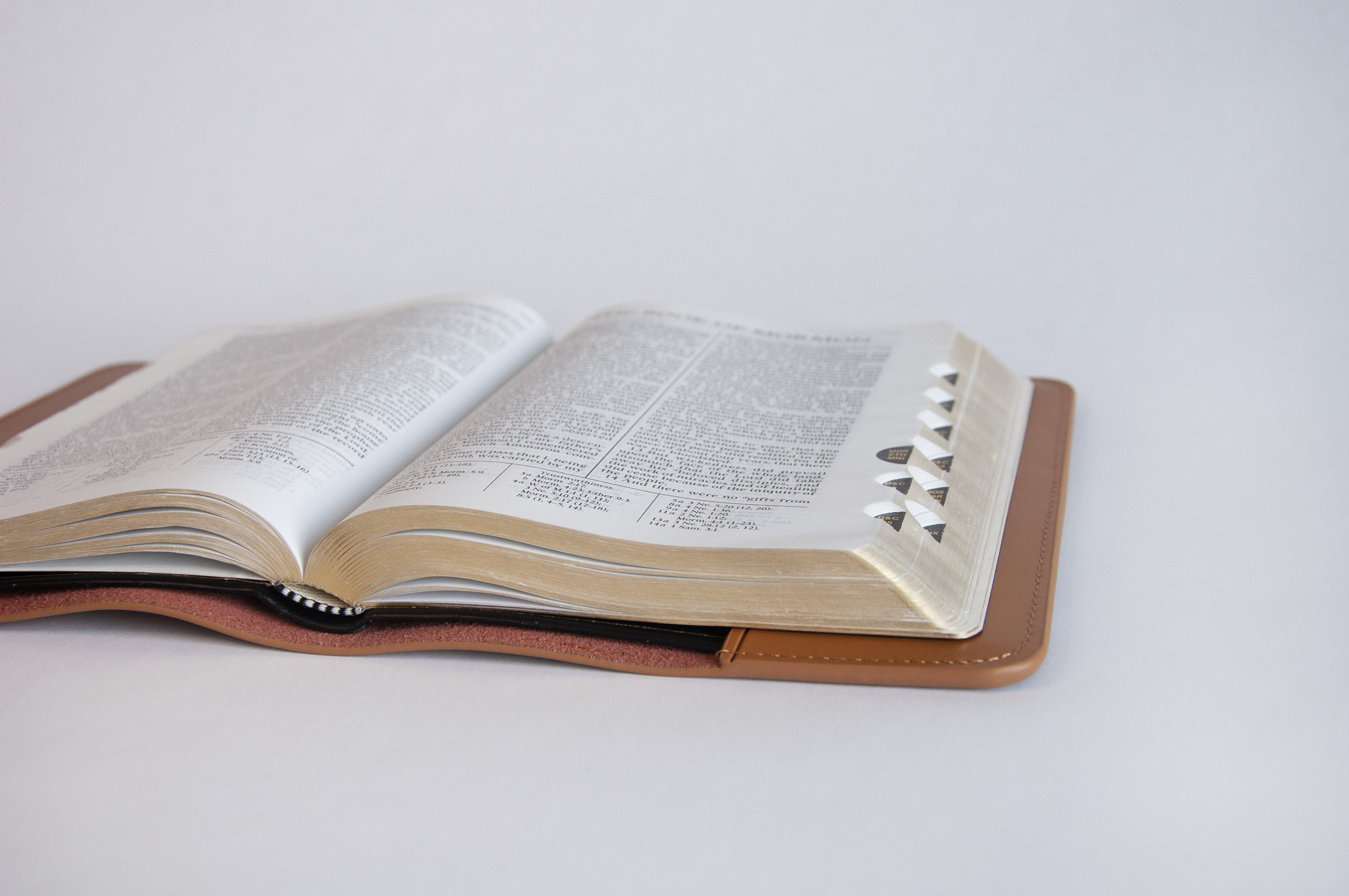 Brown Regular Size LDS Triple Combination Leather Scripture Cover, LDS ...