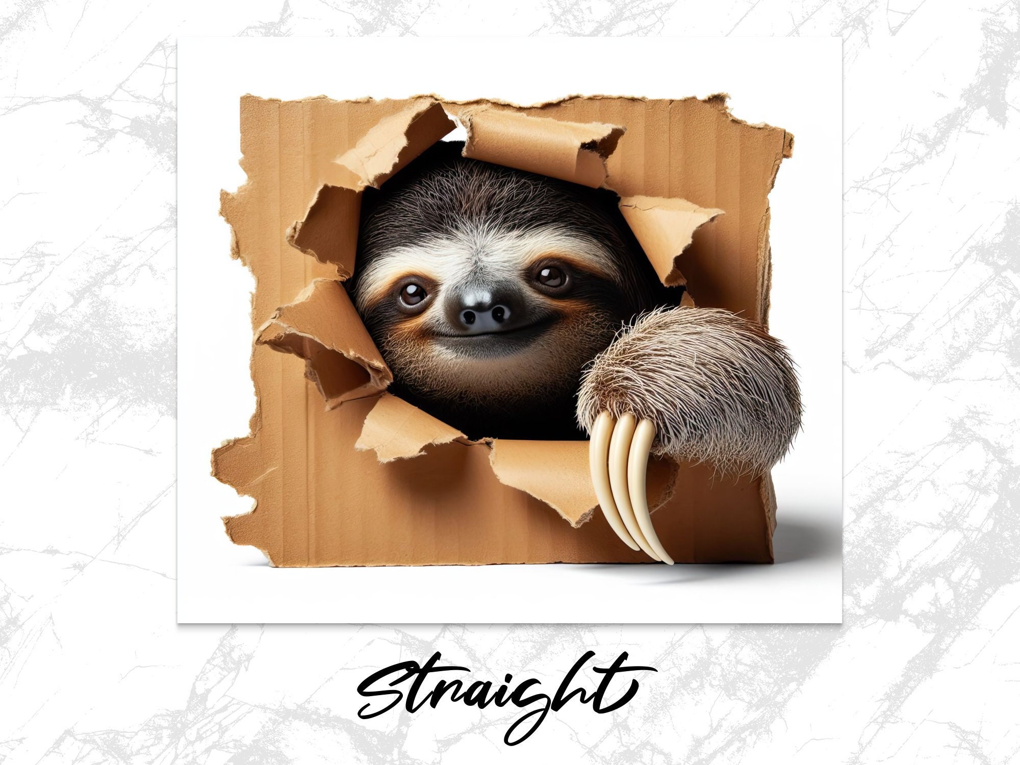 Adorable Sloth Peeking Through Hole 20oz Skinny Tumbler Wrap, Seamless ...