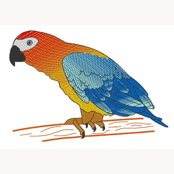 Parrot Embroidery - Etsy