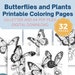 Butterflies & Plants Coloring Pages - 32 Sheets - Digital Download ...