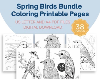 coloring pages spring birds