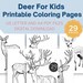 29 Playful Deer Coloring Pages for Kids! Educational Activity ...