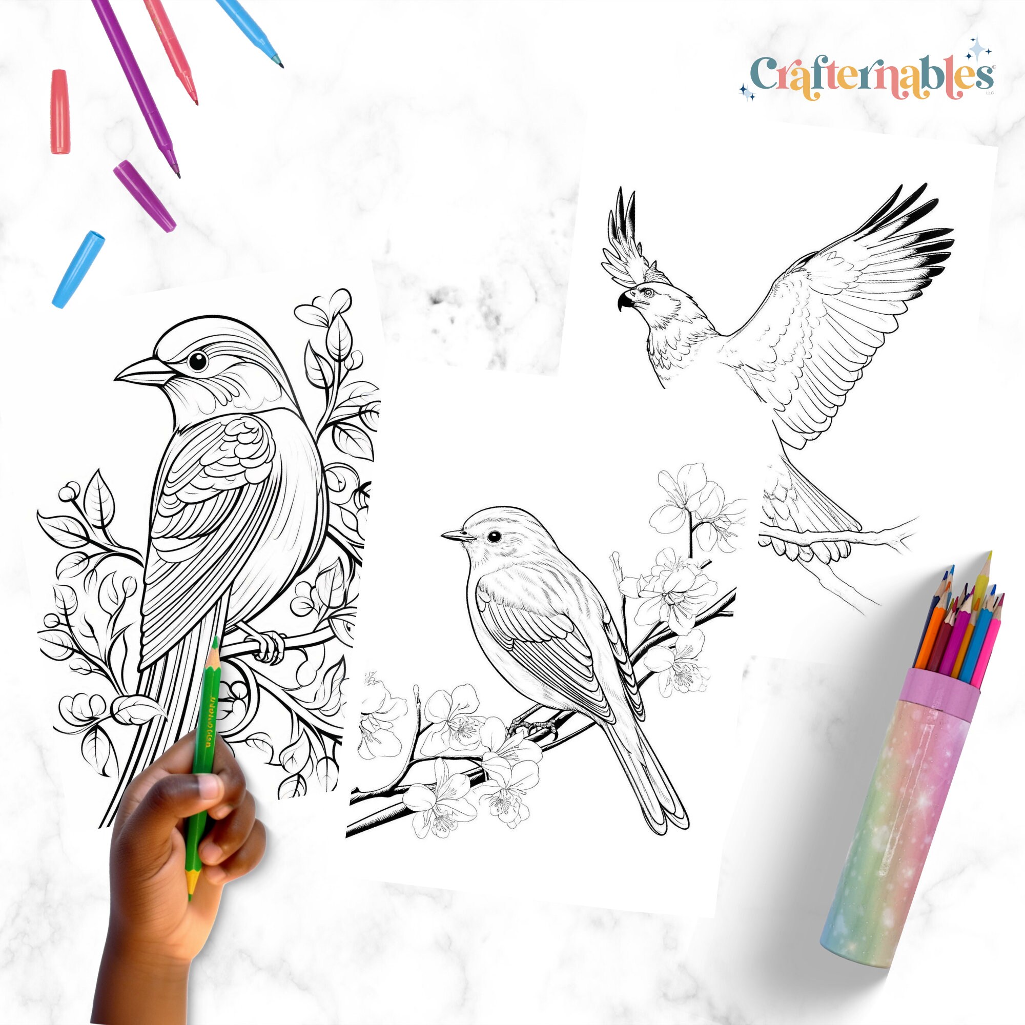 38 Spring Bird Coloring Pages Instant Printable Digital Download ...