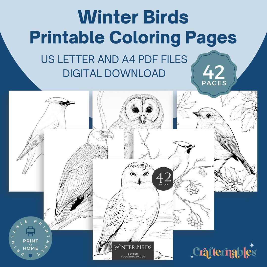 Winter Bird Coloring Book | 42 Pages | Printable Owls, Finches, Jays ...