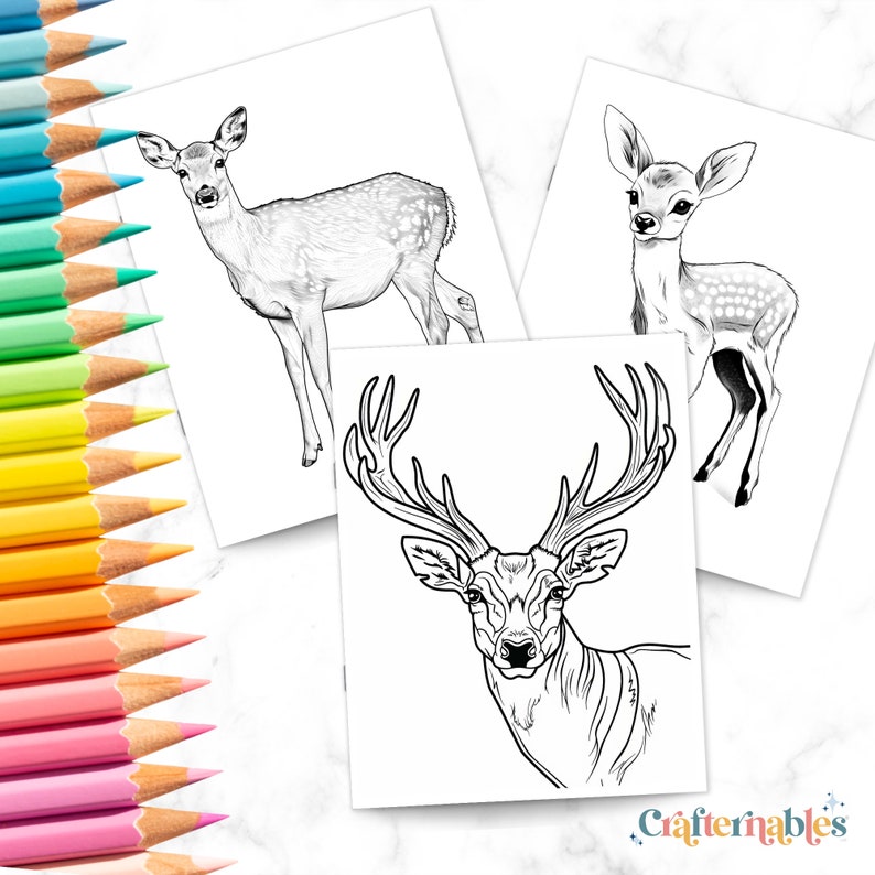 29 Playful Deer Coloring Pages for Kids! Educational Activity ...