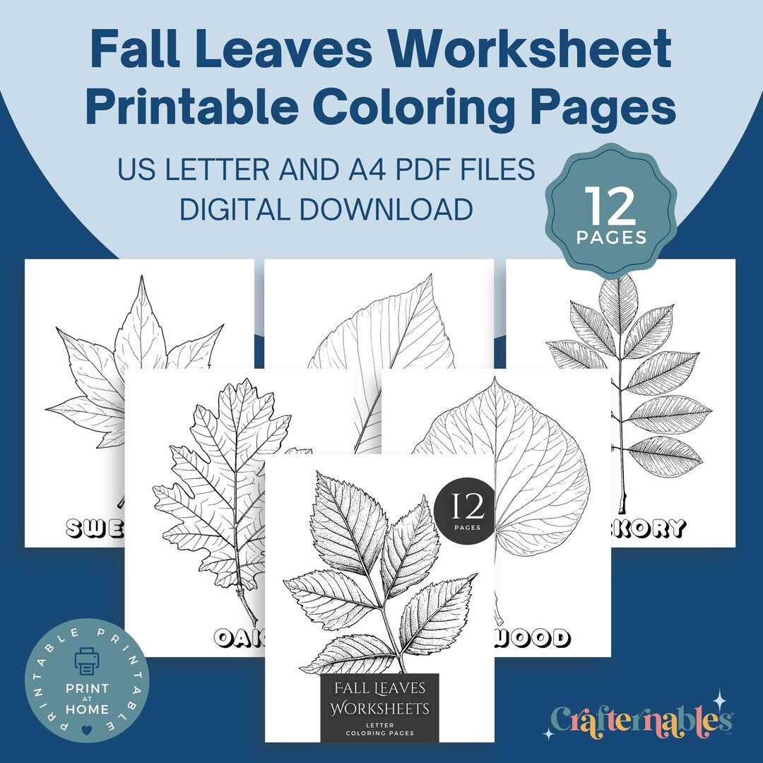 Fall Leaves Coloring Pages | Trace, Label & Learn (PDF) - Etsy