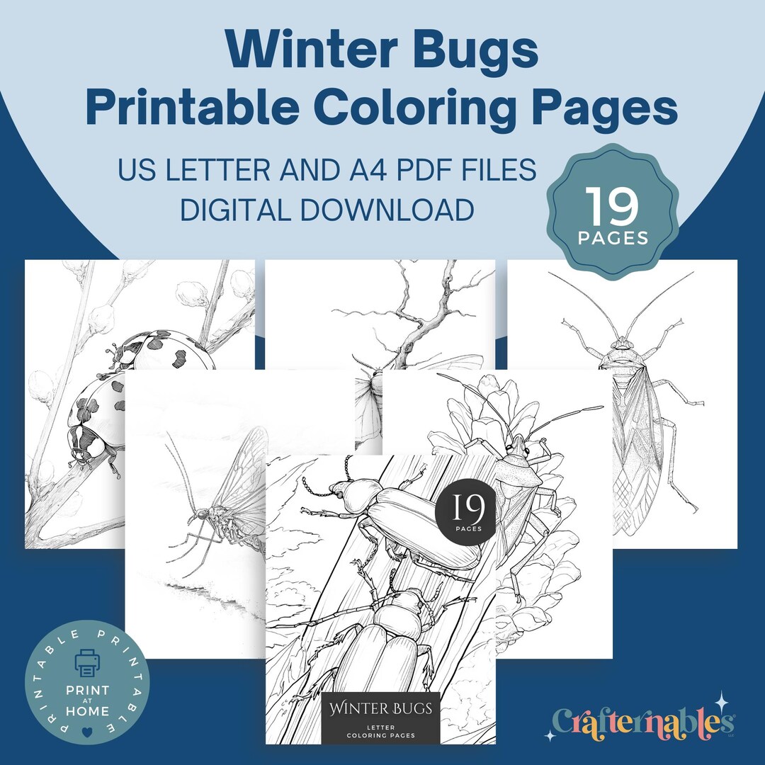 Winter Insects Coloring Pages | Nature Printable (a4/letter PDF) - Etsy UK